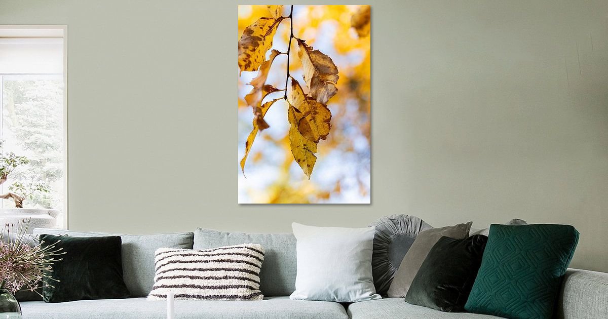 Herfst beeld Friesland 2 van Lydia op canvas, behang en meer